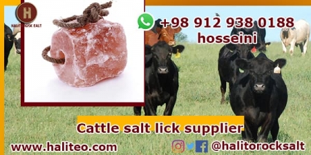 Salt blocks for cattle in cheap price - Halito Rock Salt Company